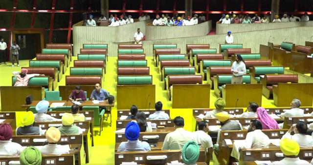 Bhagwant Mann govt wins confidence vote; Congress, BJP abstain - The ...