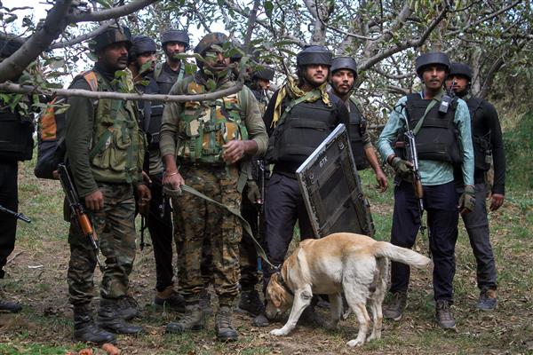 Hybrid militant arrested for death of 2 migrant labourers killed in ...