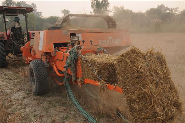 Government to buy paddy straw at MSP, says Agriculture Minister - The ...