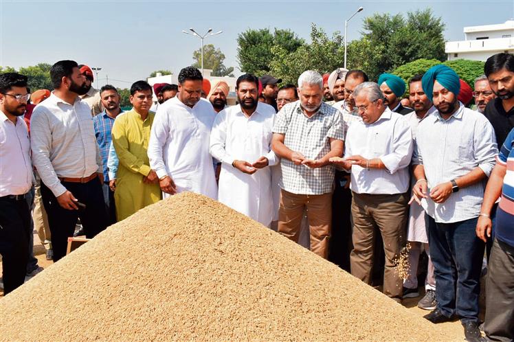Paddy procurement: Minister assures hassle-free lifting, payment to ...