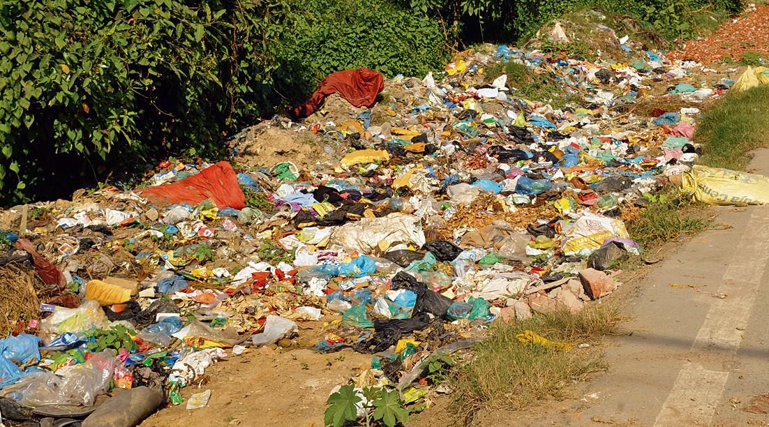 Amritsar Ward Watch Ward No. 13: Encroachments galore, garbage dumped ...