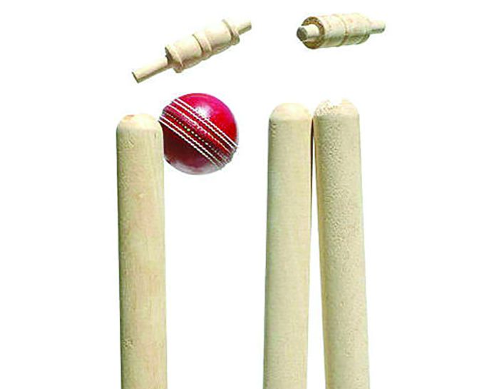 DAV Cricket Academy lads log 77-run victory - The Tribune