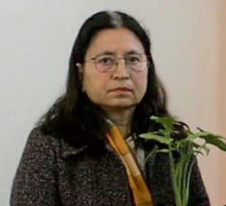 Prof Renu Cheema Vig appointed Vice-Chancellor of Panjab University - The Tribune
