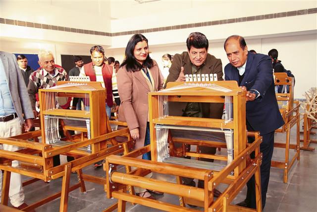 Bouquet of creative courses at PLCSUPVA, Rohtak - The Tribune