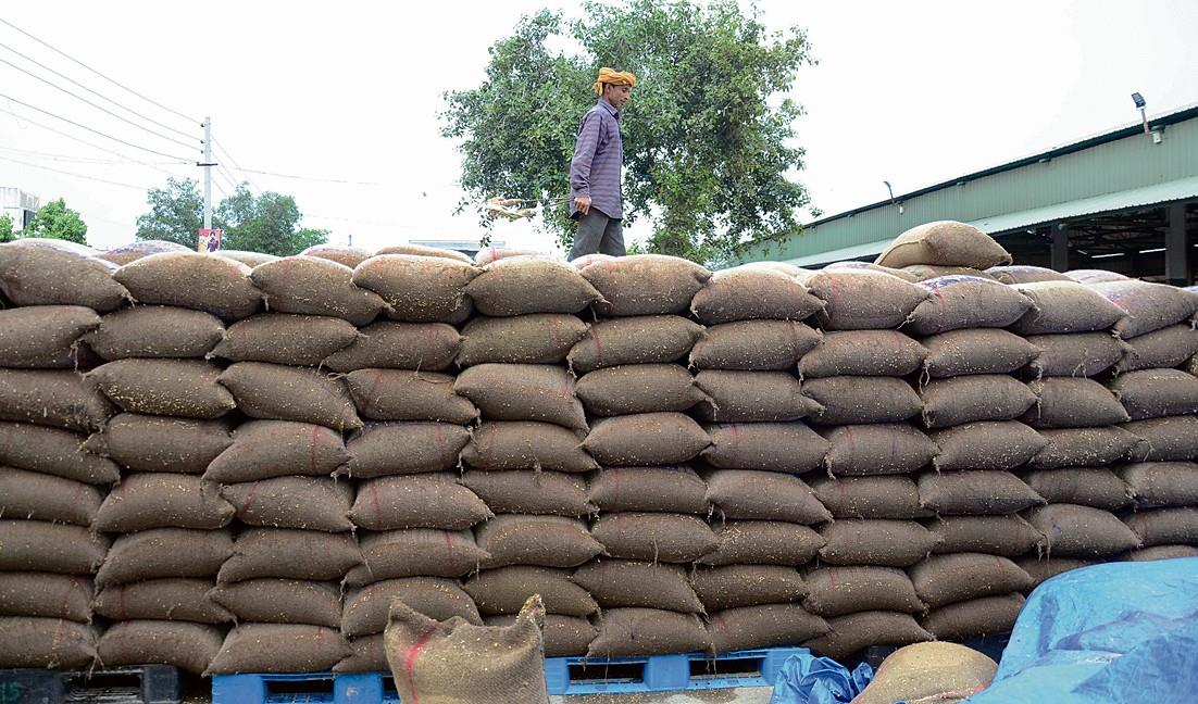 Wheat procurement may fall short of target - The Tribune