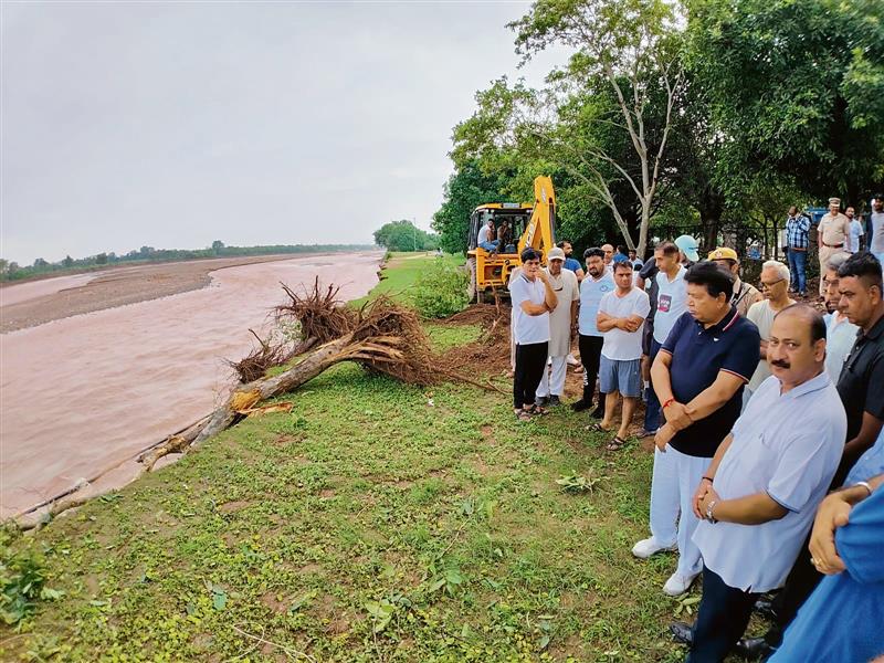 Keep away from Herbal Park till repair work complete: Haryana Speaker ...