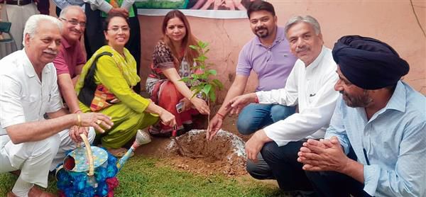 Tree plantation drive in Phagwara - The Tribune