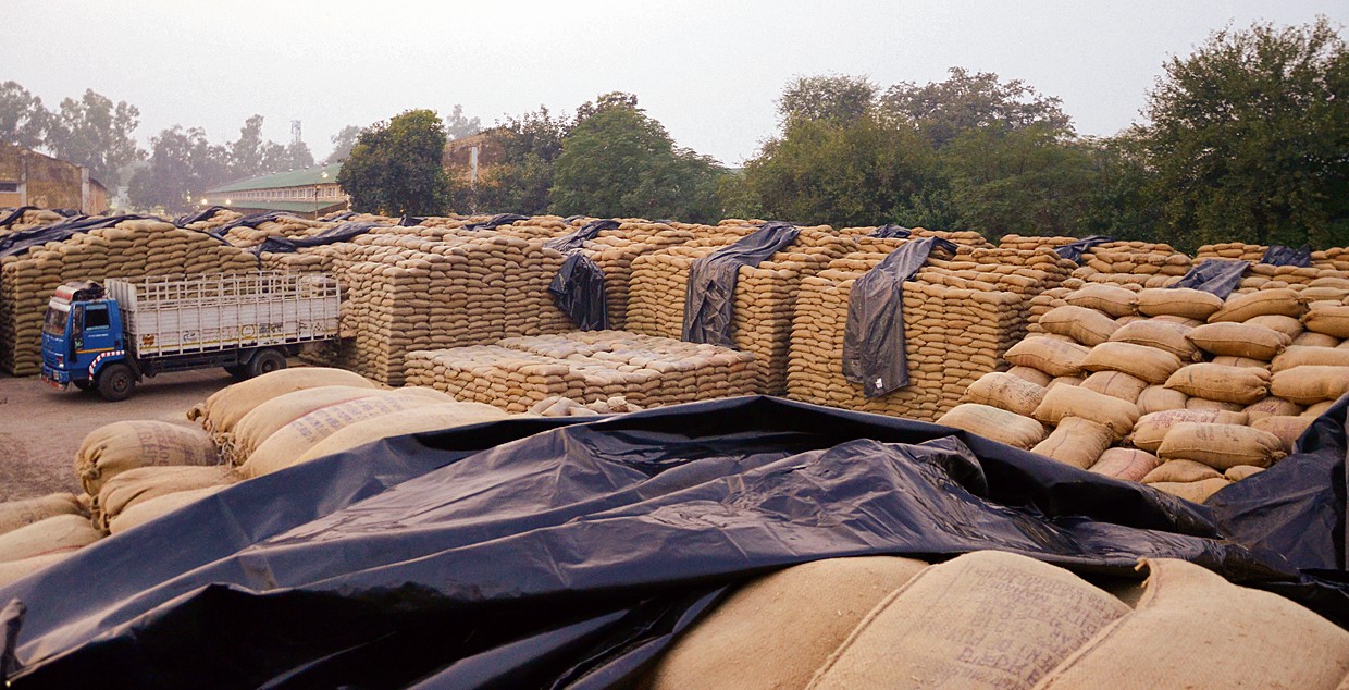 Punjab: Godowns filled to brim, fresh paddy crop to spell trouble for ...