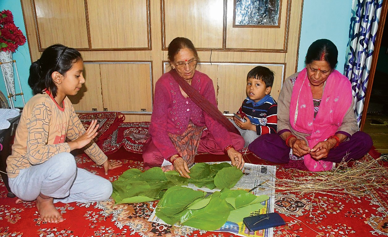 In Mandi, people turn a new leaf for better tomorrow - The Tribune