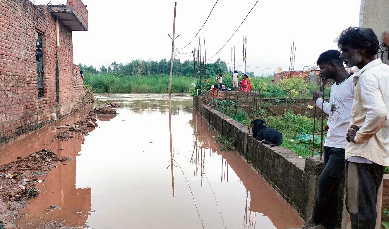 Panic grips residents as Tangri swells in Ambala - The Tribune