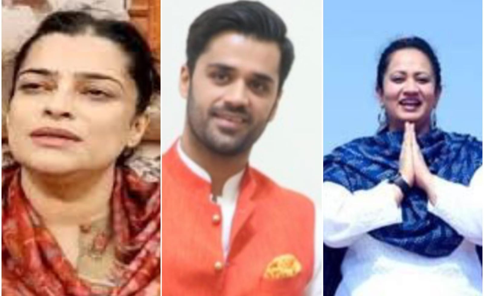 BJP fields kin of several leaders in Haryana Assembly election - The ...