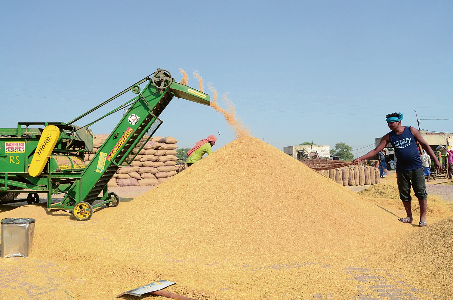 22,000 MT paddy arrives in Jalandhar mandis, lifting still at a slow ...