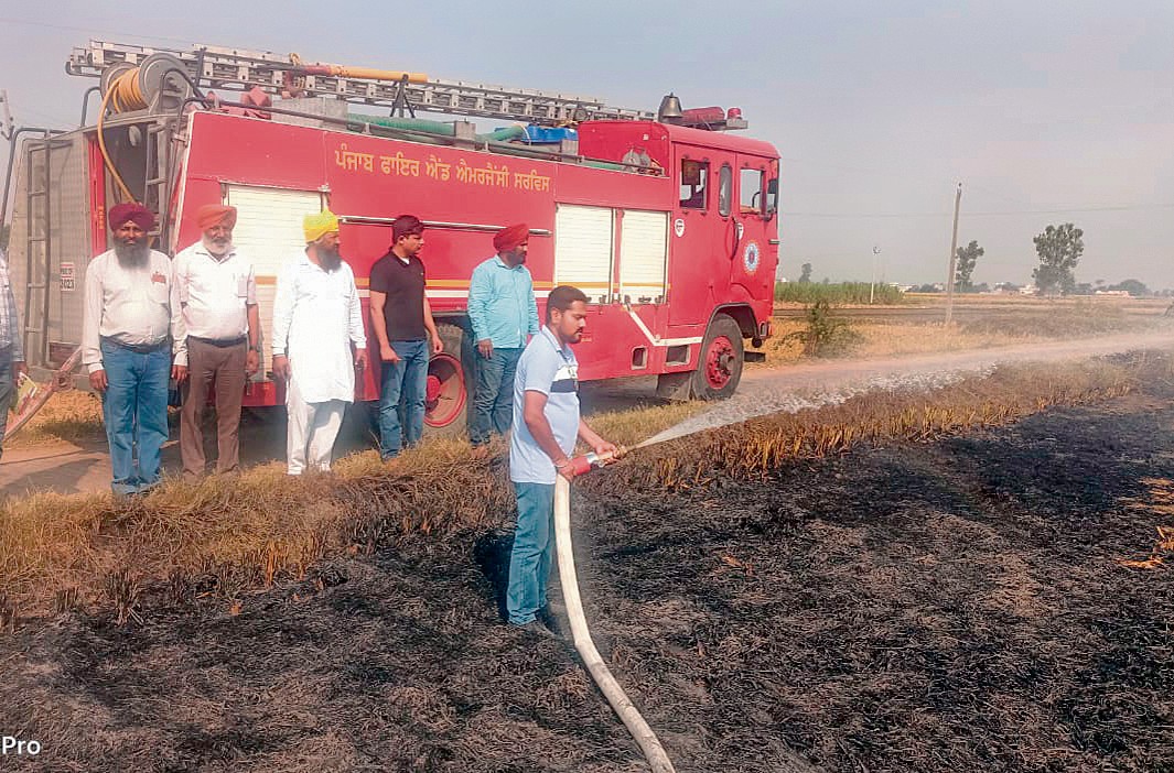 294 farm fire FIRs registered in Amritsar, Tarn Taran in a day - The ...